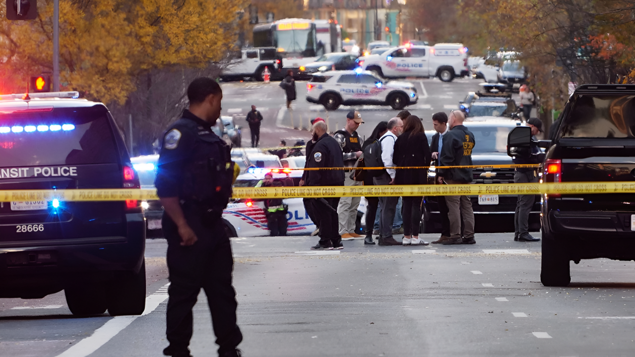 Walmart Recalls 201K Ozark Trail Stoves—Explosion Hazard Leaves Campers ...