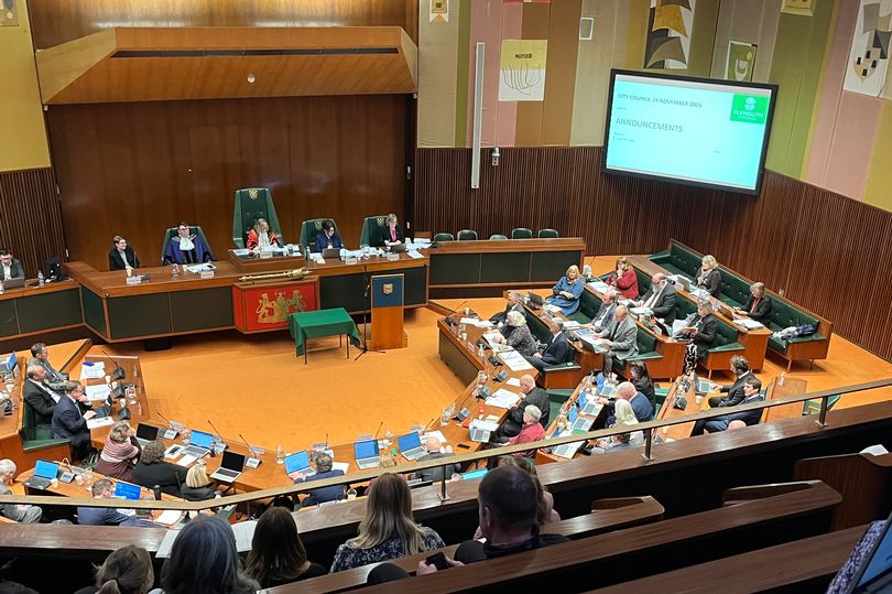 Buttons blunder as Plymouth leader 'votes whilst absent'