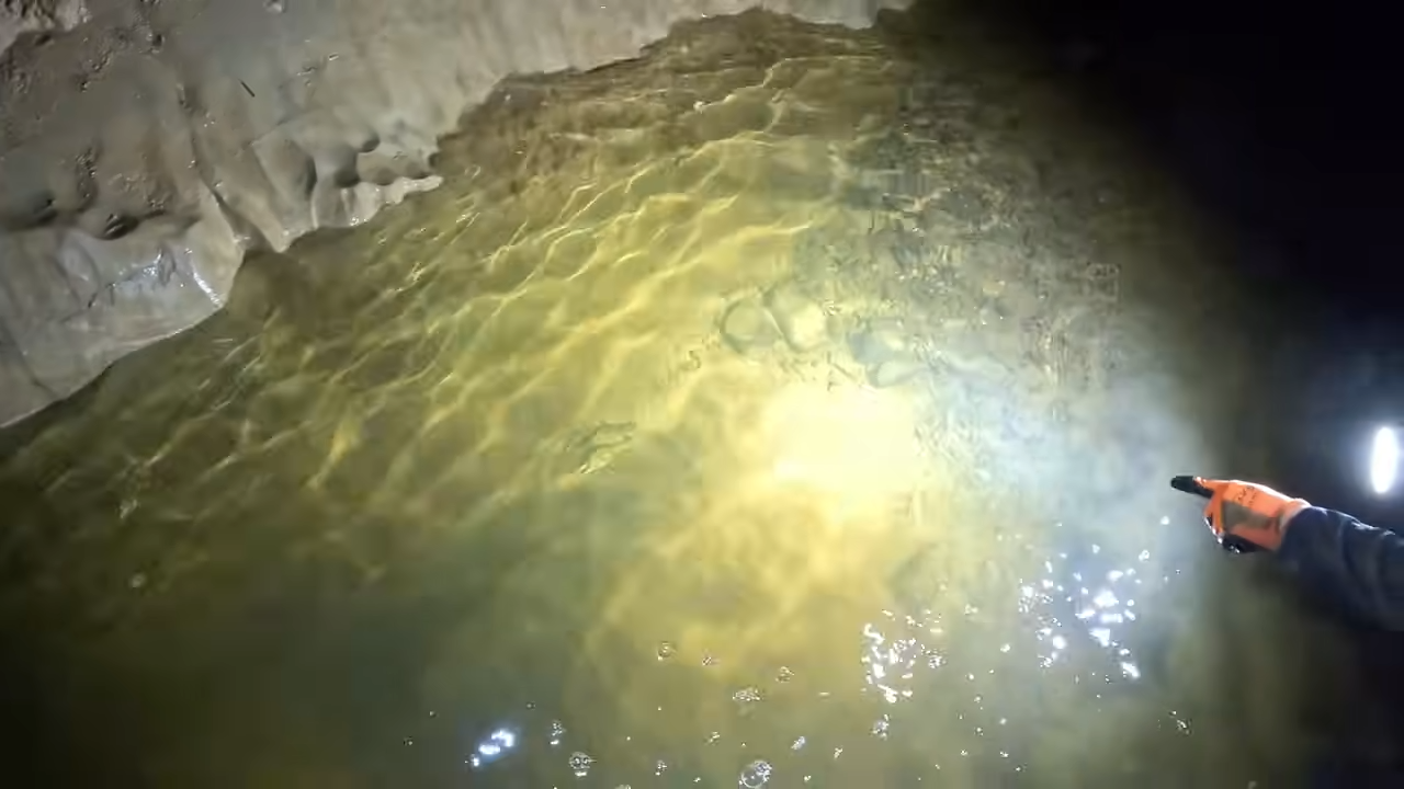 “What Is That?” - The Moment the Albino Catfish Appeared in the Dark