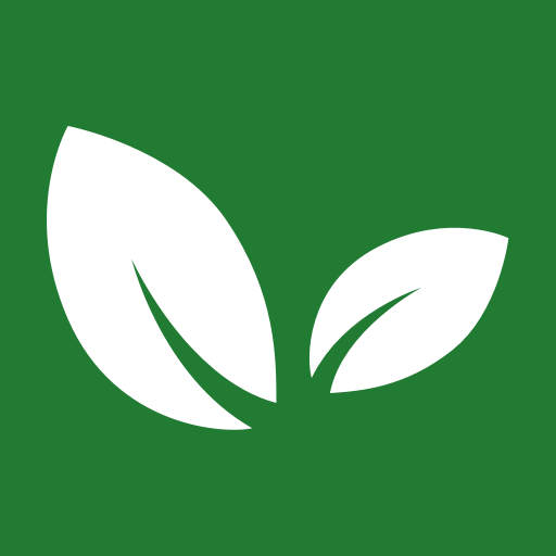 Floración del azahar: aroma, ciclo, usos y leyendas