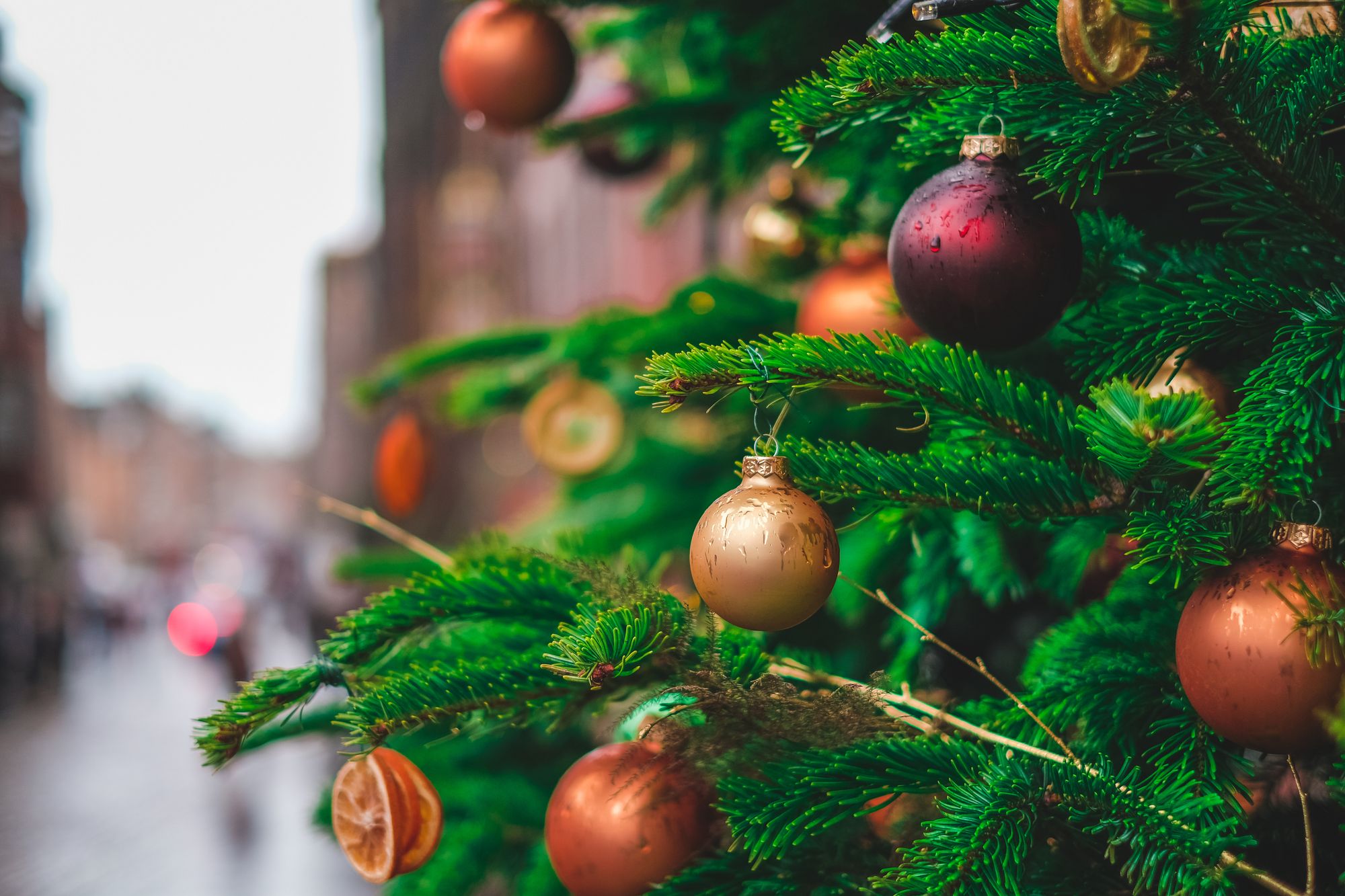 I'm buying a real Christmas tree in Edinburgh, but it's going to be a ...