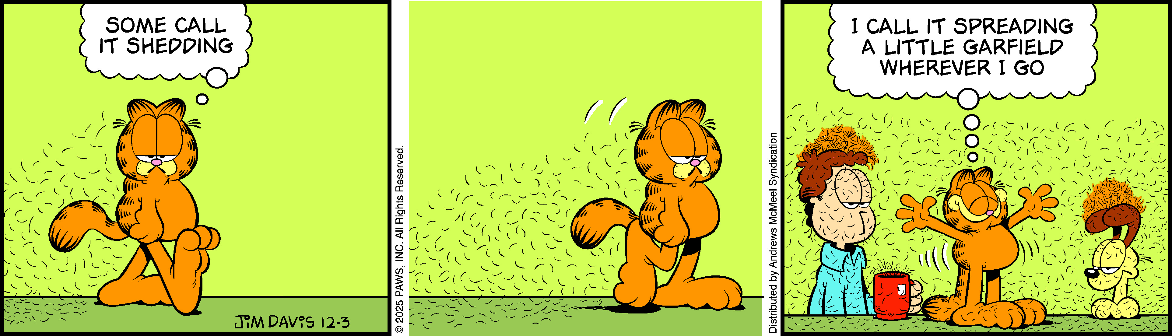 Garfield by Jim Davis