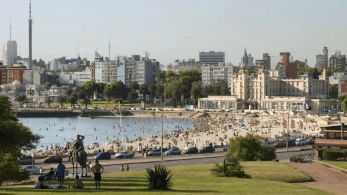 Descubrí cuánto cuesta alquilar en Parque Rodó y cómo se compara con ...