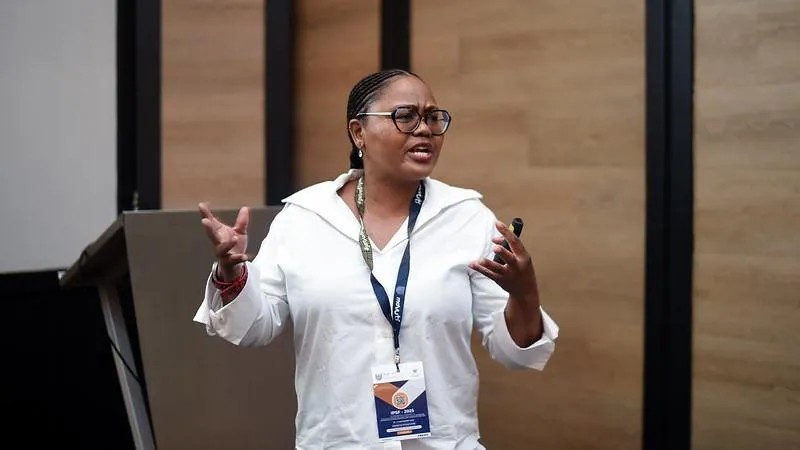 Addressing South Africa's STEM crisis: The decline in mathematics and ...