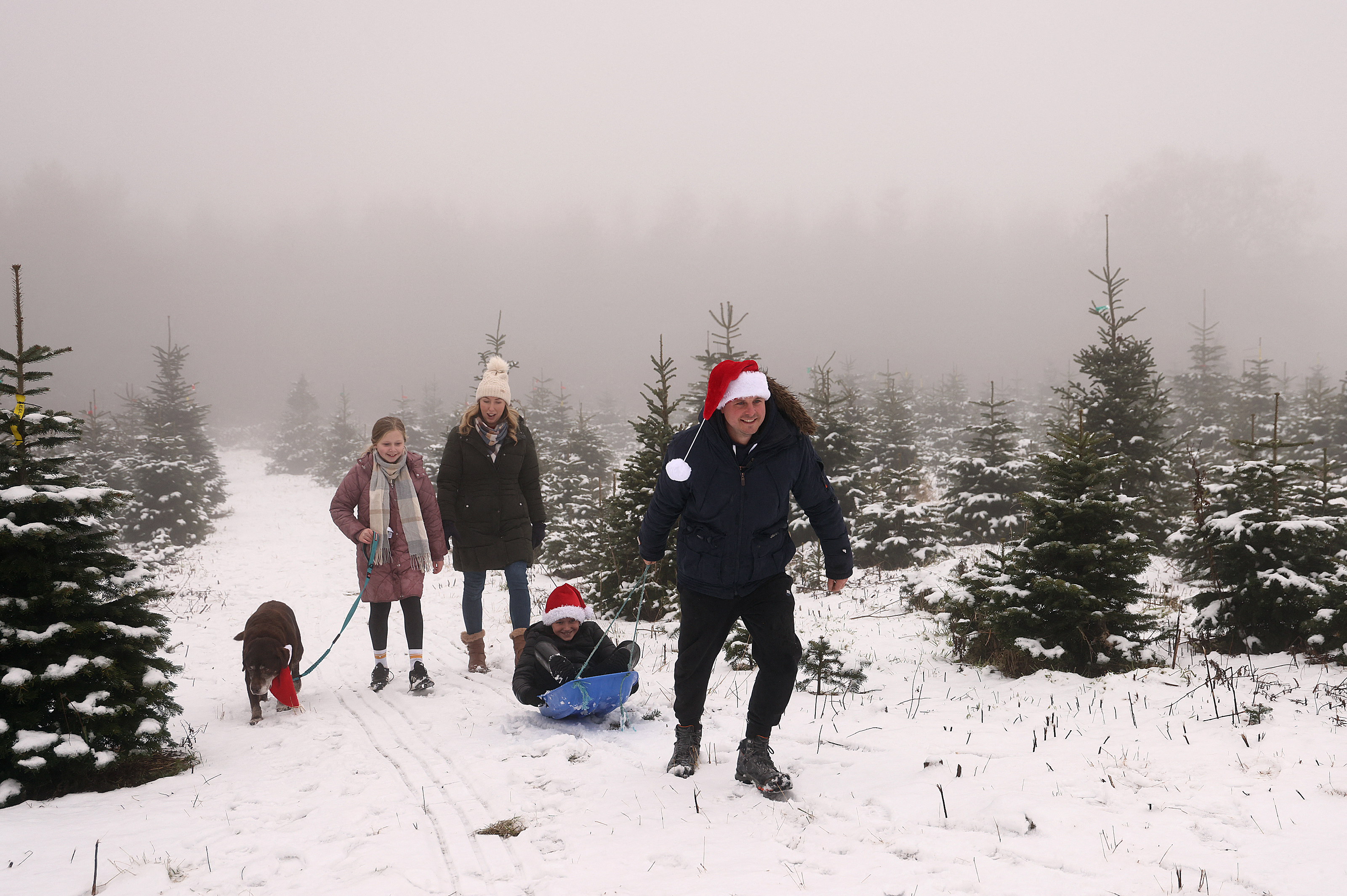 Will Nottinghamshire have a white Christmas? Latest odds on snow ...