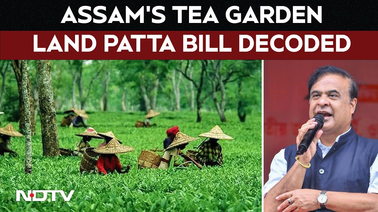 Assam Land Patta Bill | What Assam Tea Garden Land Patta Bill Means for the State