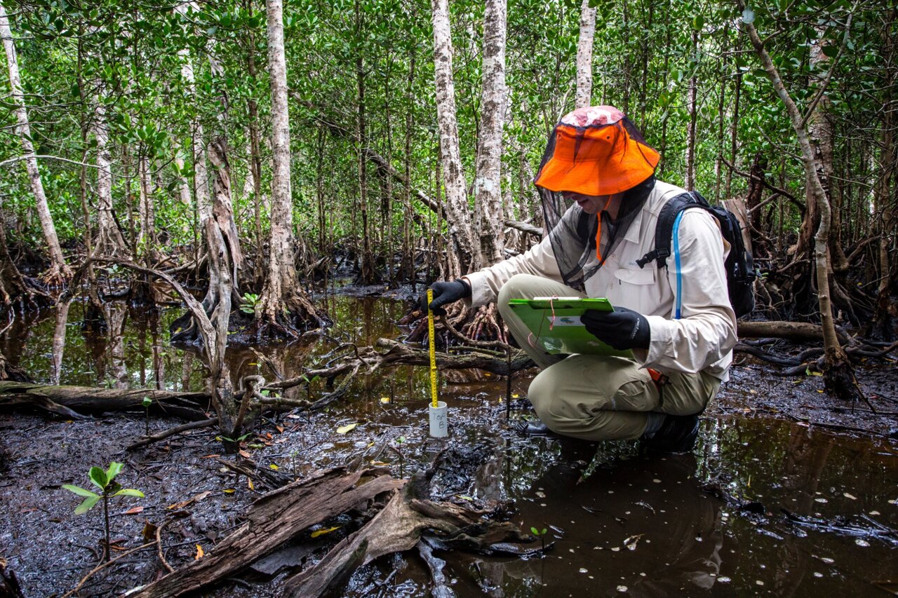 Tropical Australian study sets new standard for Indigenous-led research