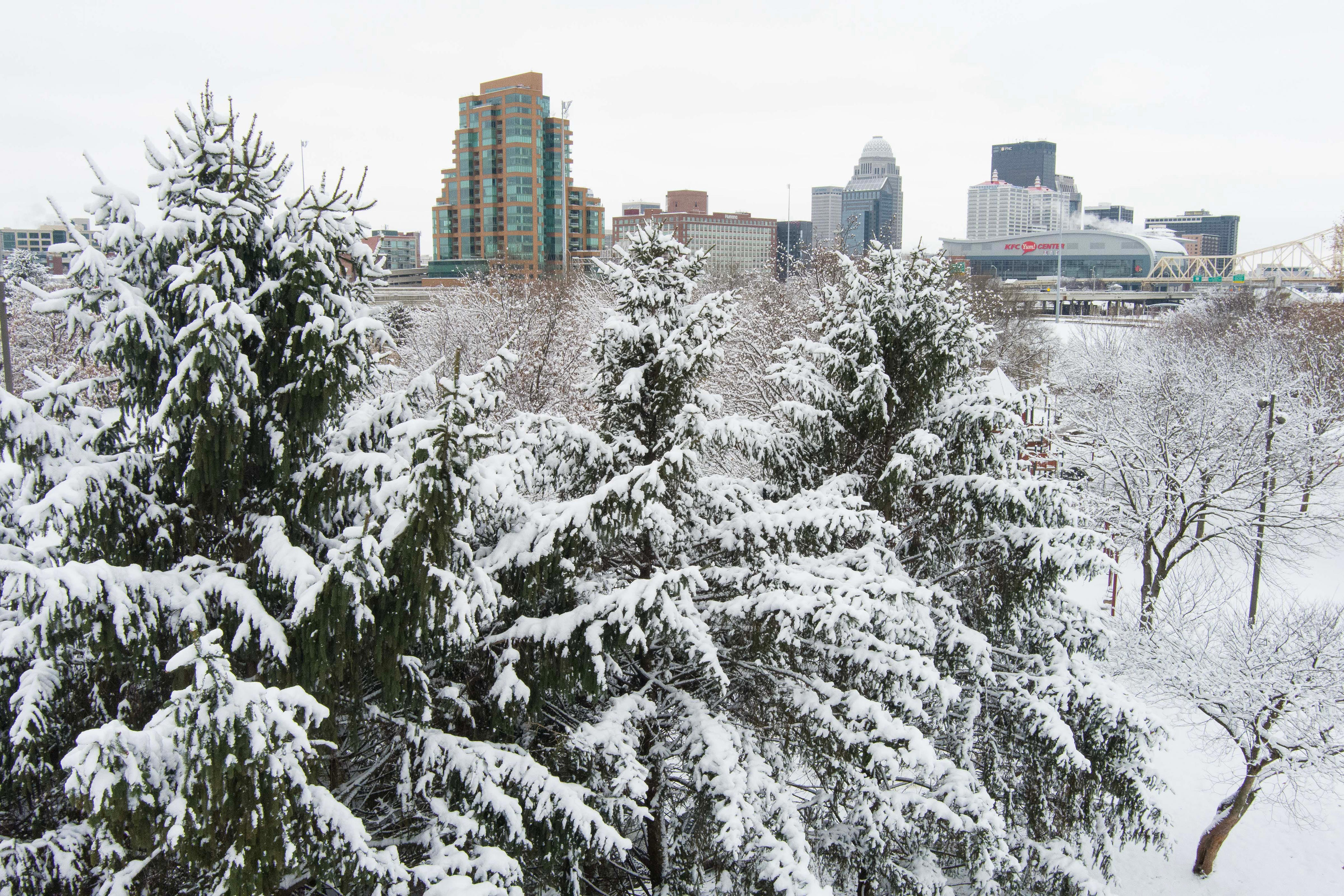 What's making it so cold in Kentucky? Polar vortex bringing surge of ...