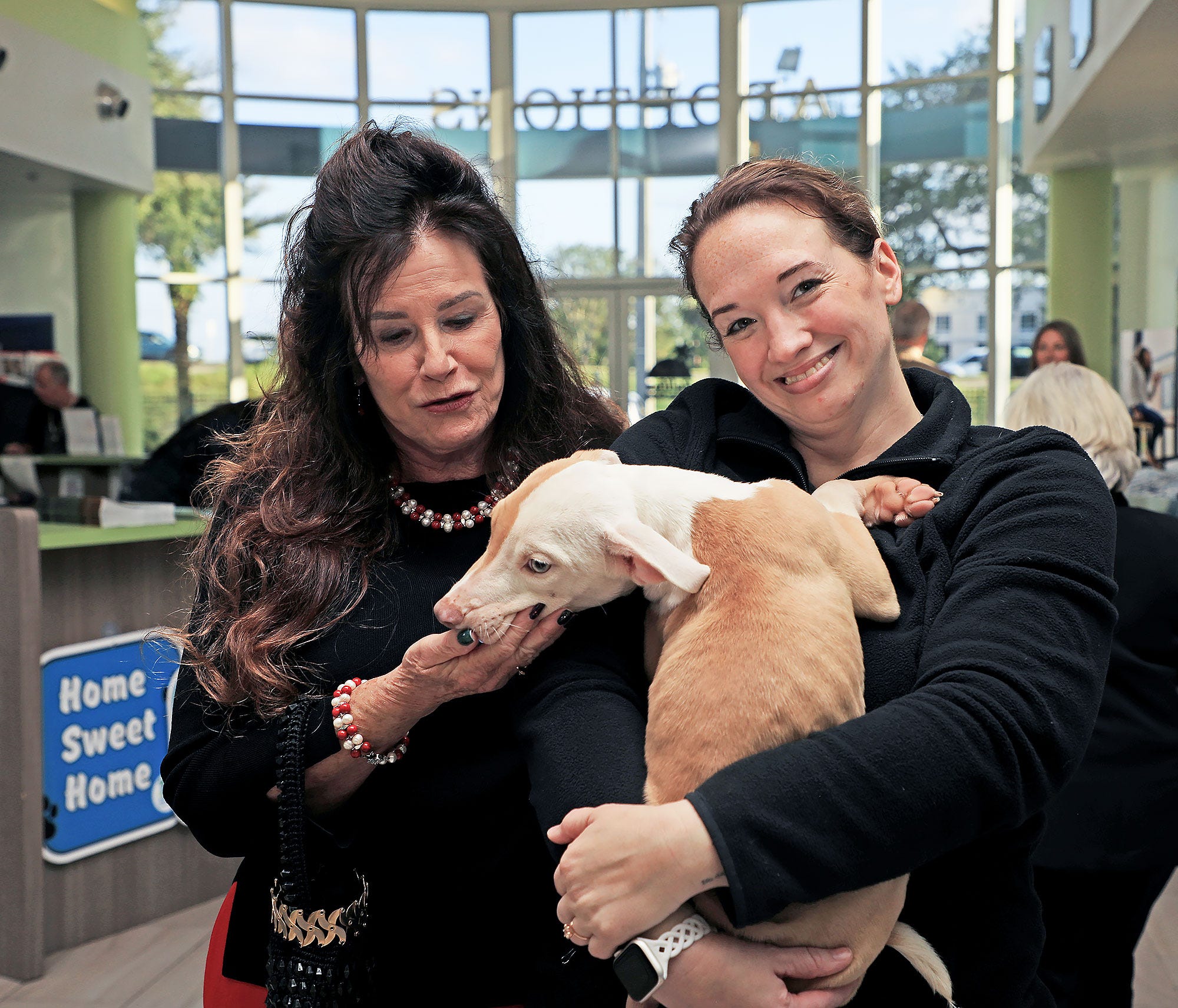 Volunteer opportunities abound in Flagler-Volusia region