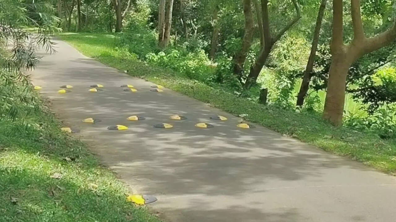 Researchers develop spherical cap studs as a comfortable alternative to ...