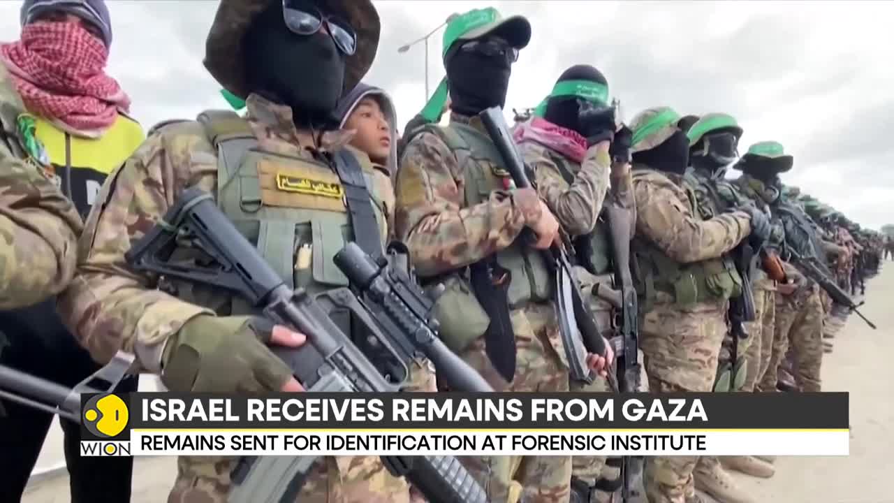 Israel-Gaza: Remains Sent for Identification at Forensic Institute