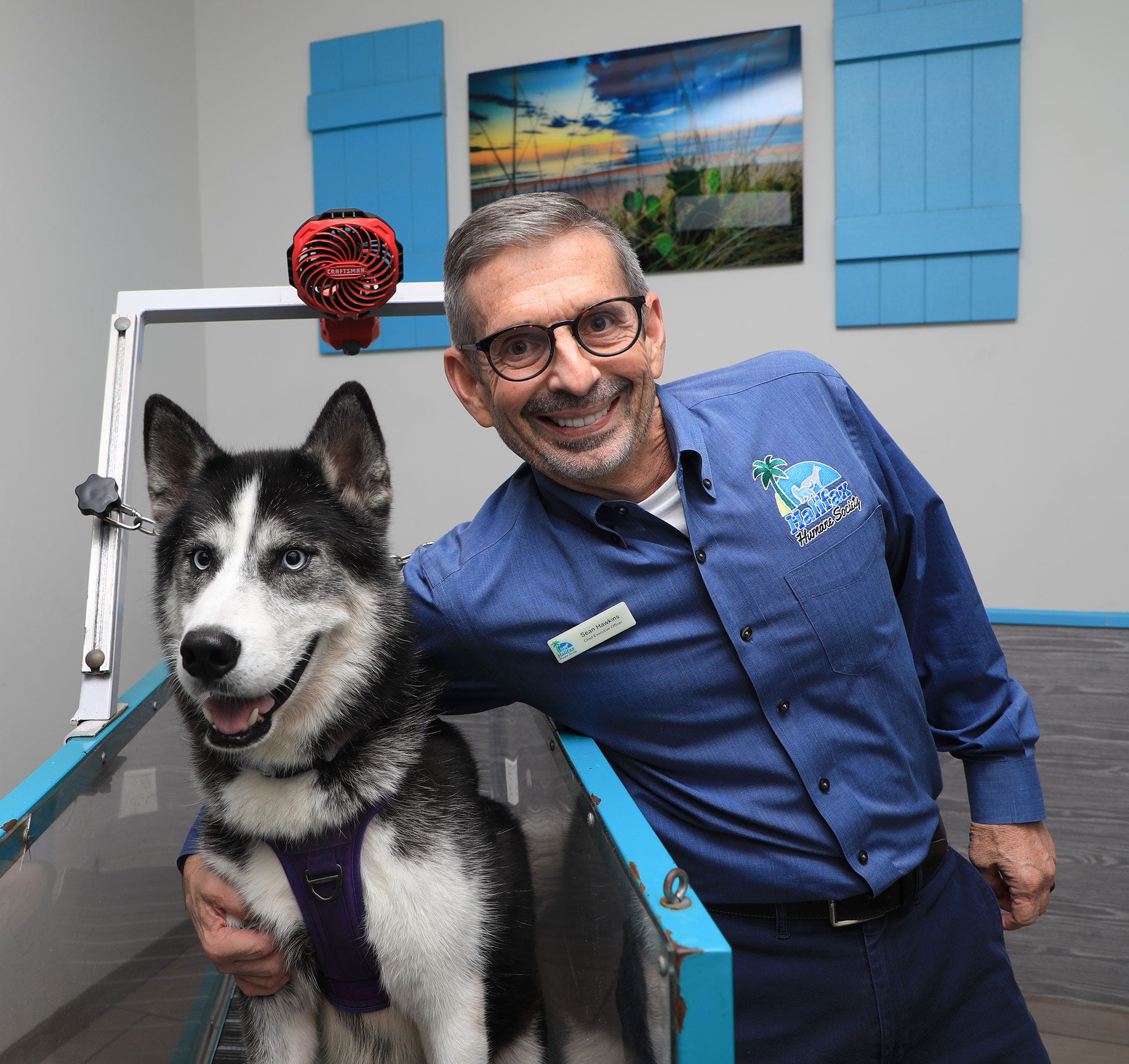 Changes at Halifax Humane Society increase demand at other shelters