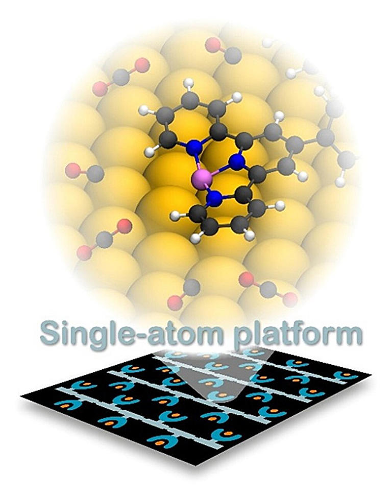 Tailored single atom platforms hold promise for next-generation catalysis