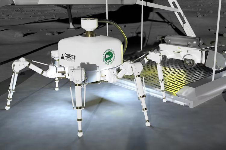 Robot Laba-Laba Charlotte, Solusi Inovatif untuk Krisis Perumahan ...