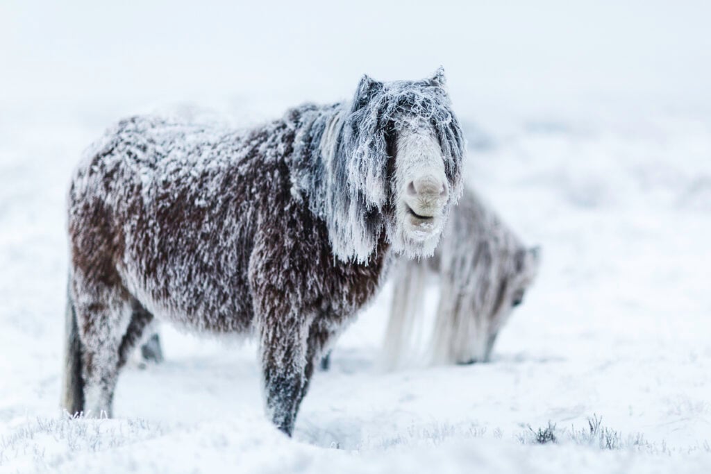 Millions Now in the Path as Nor’Easter Storm Explodes Into a Bomb Cyclone