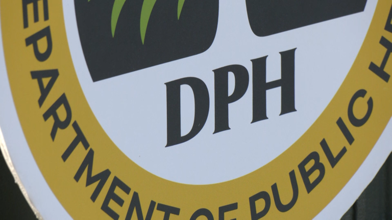Dog euthanized after rabies exposure in Greenville County: SCDPH