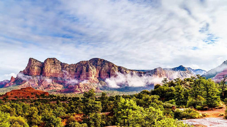 The World’s Most Endangered Animals in 2025 — and What’s Being Done to ...