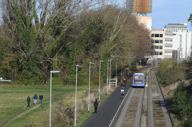 Lower busway speed limits see passenger numbers fall as journeys are longer