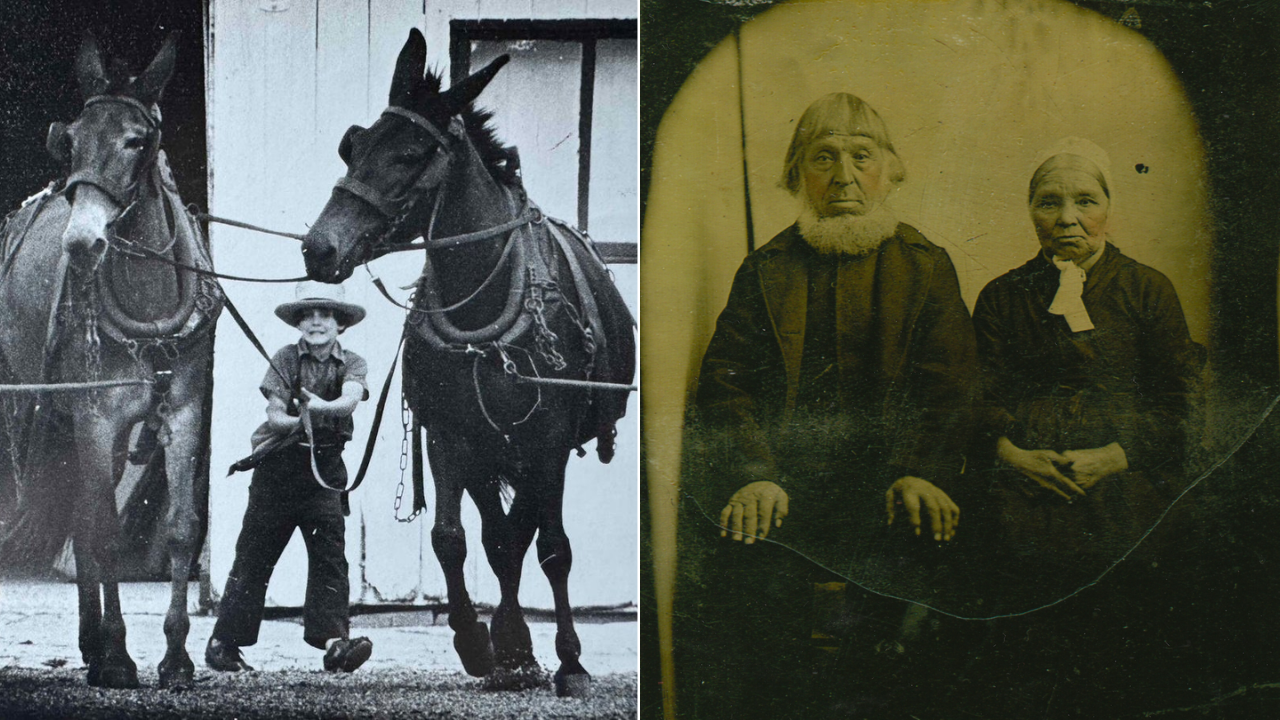 25 Vintage Amish Photos That Show A Look Inside Their World
