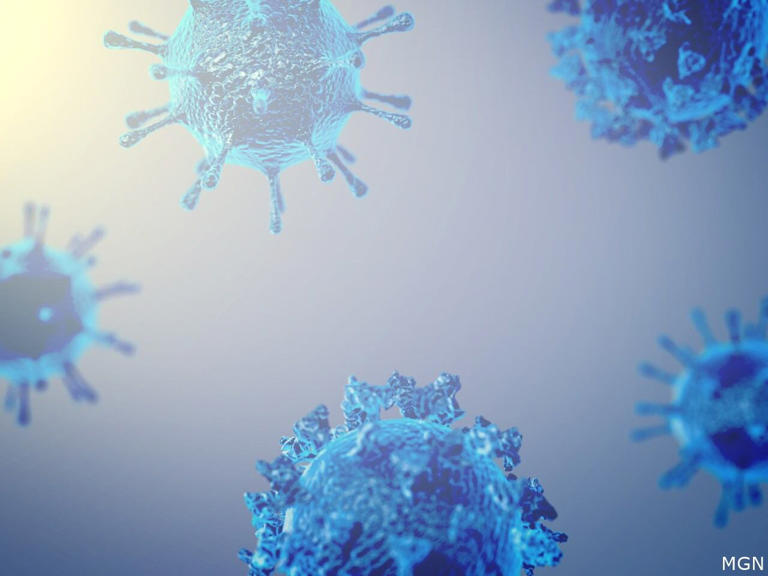 South Carolina officials confirm season’s first flu-related death