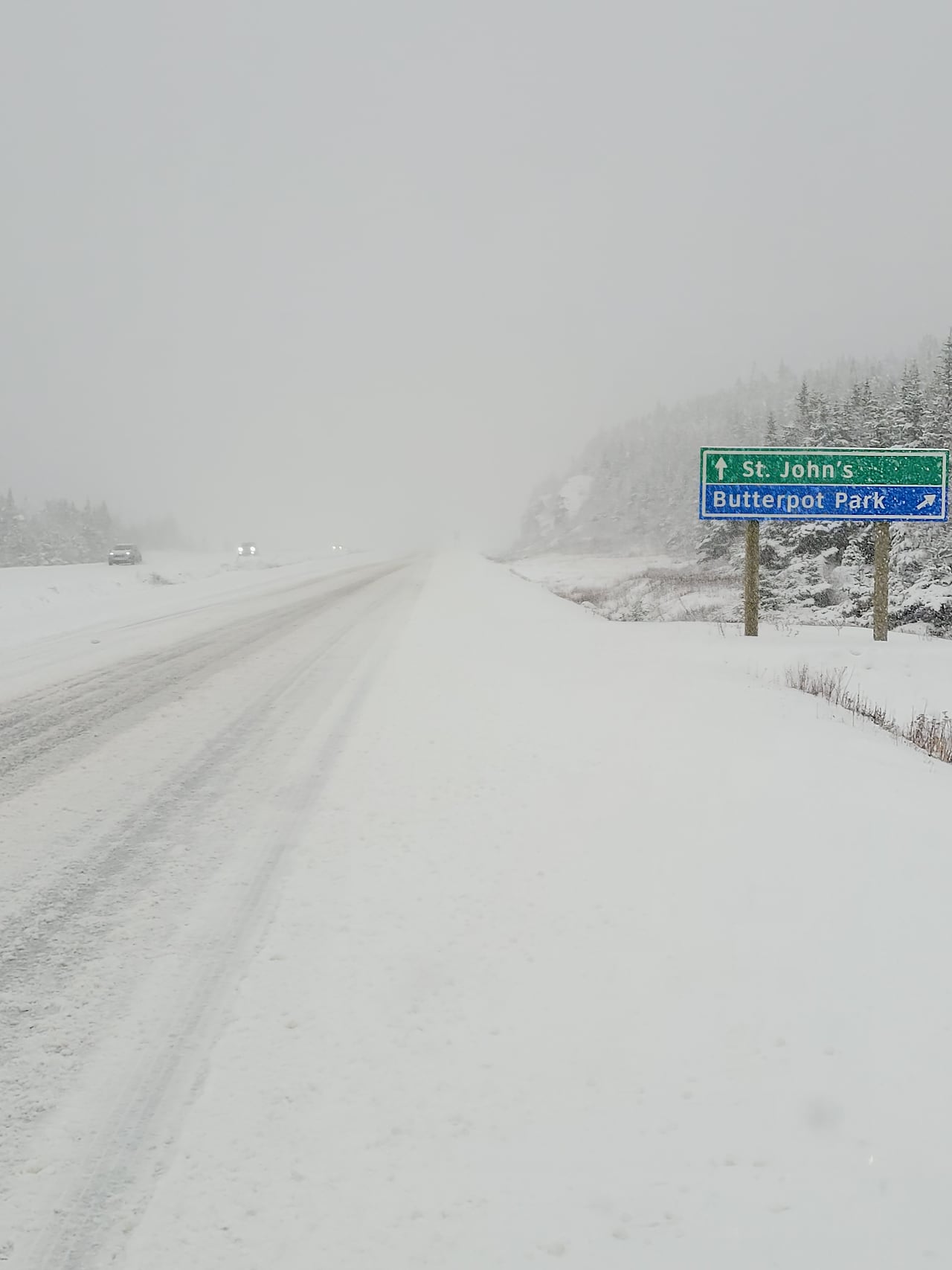 Strong winds and significant snowfall to hit Newfoundland Sunday night