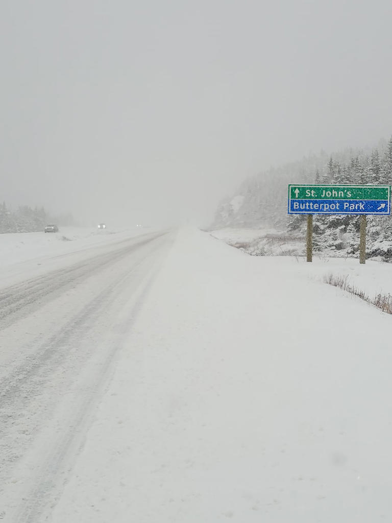 Strong winds and significant snowfall to hit Newfoundland Sunday night