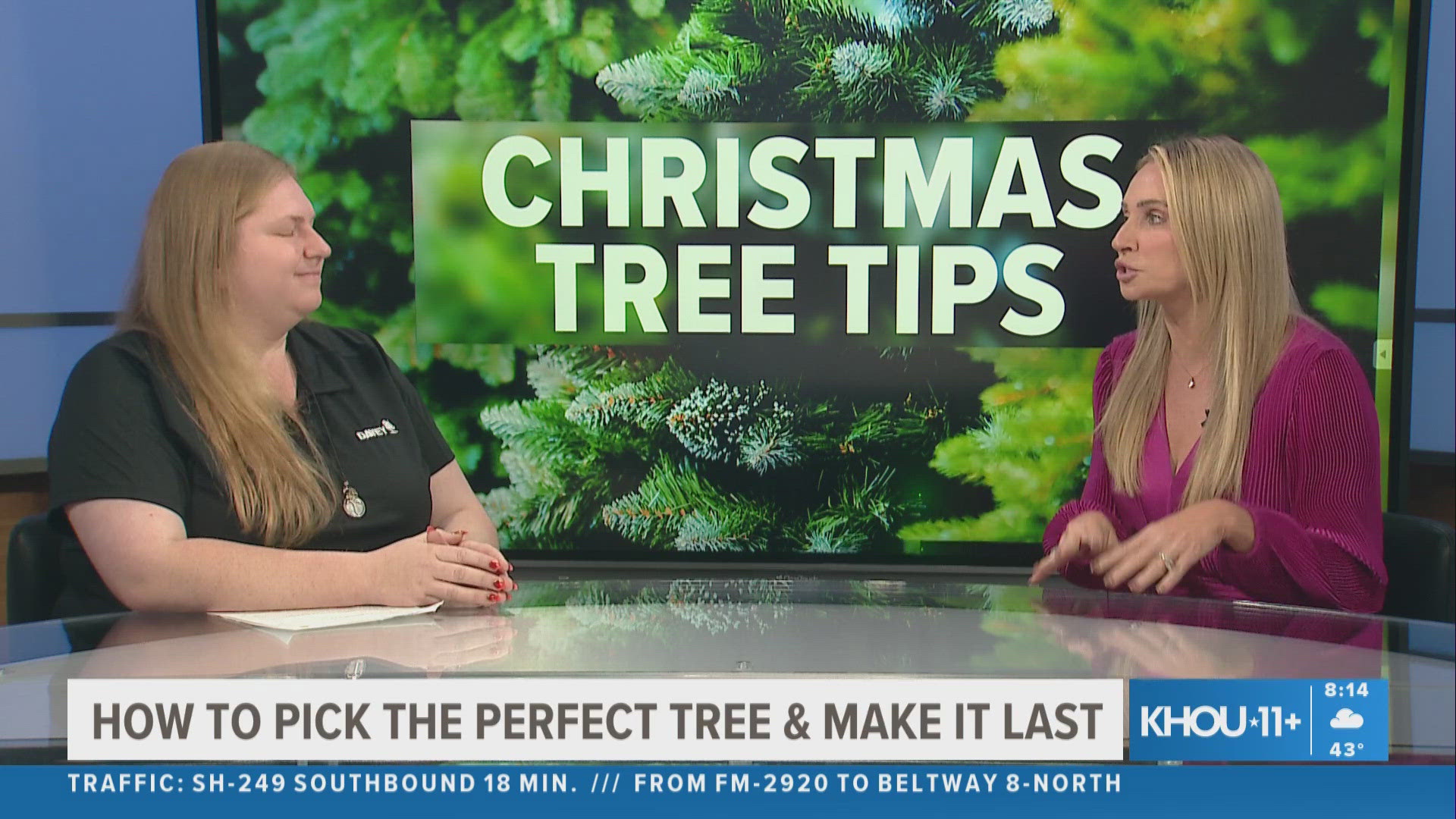 How to pick the perfect Christmas tree