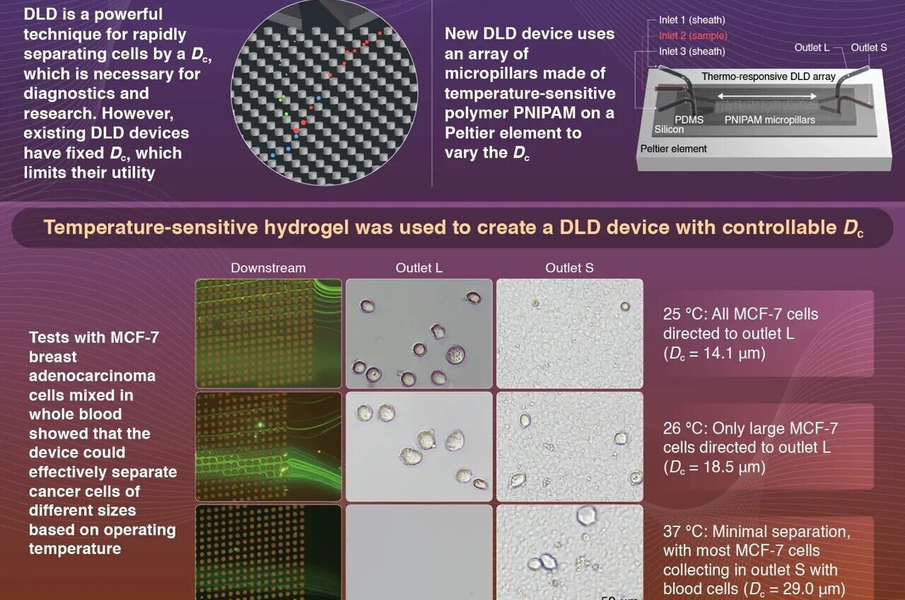A new tunable cell-sorting device with potential biomedical applications