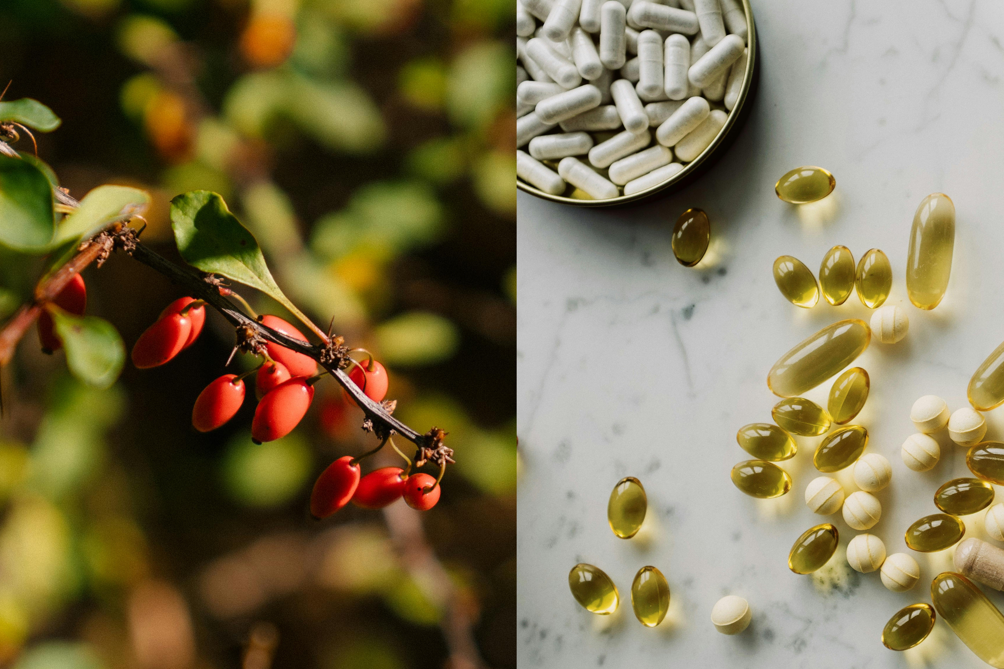 This common supplement has been dubbed ‘nature’s Ozempic’ - an expert ...
