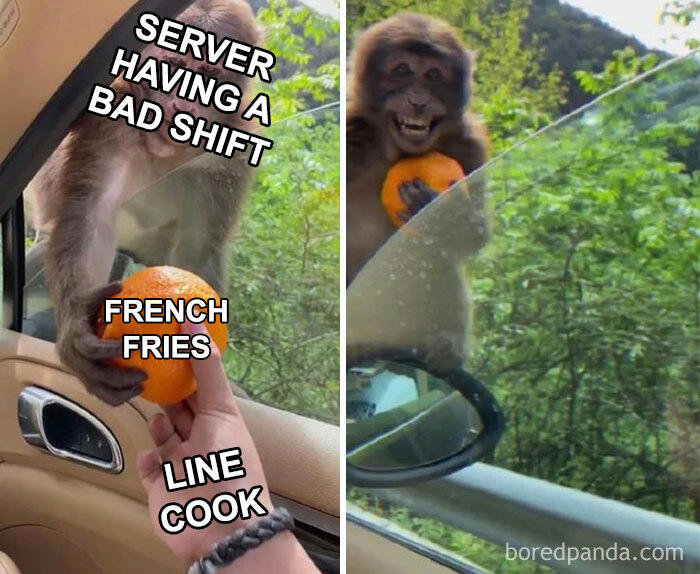 26 Chef Memes That Describe What Working In A Kitchen Is Really Like