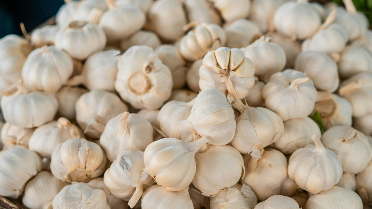 From black to Himalayan: Types of garlic and which is best for heart health
