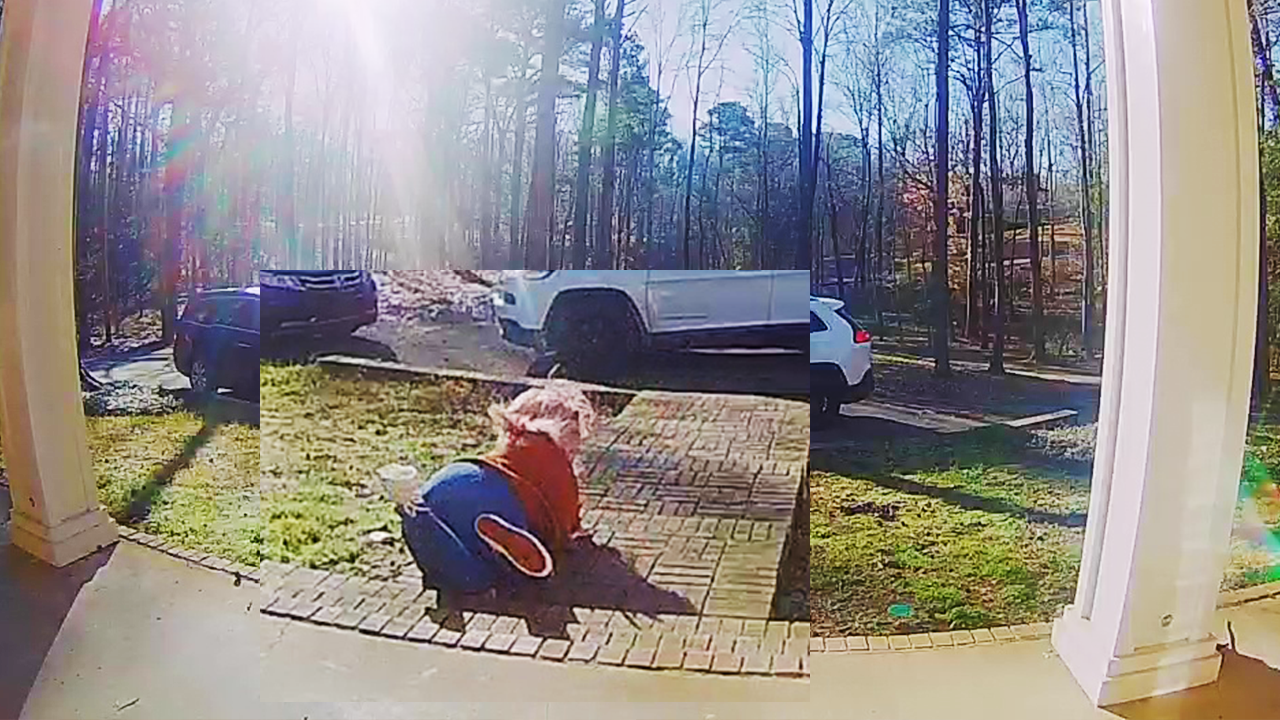 'Dog Checks on Owner after she Slips on Porch Steps'
