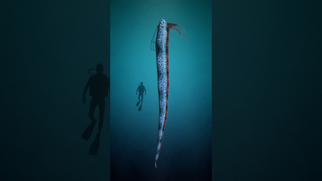 Why this is the doomsday fish