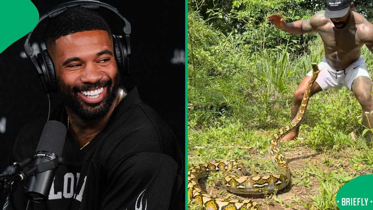 "That's crazy": Man wrestles massive snake in the wild, leaving Mzansi ...