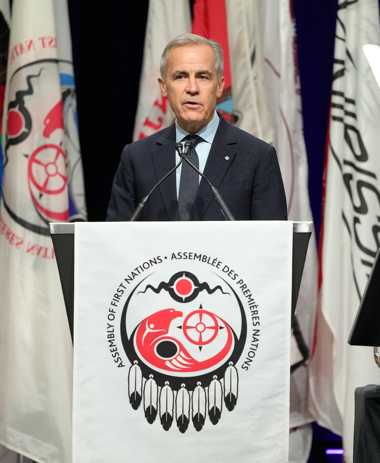 AFN calls for withdrawal of Ottawa-Alberta pipeline deal