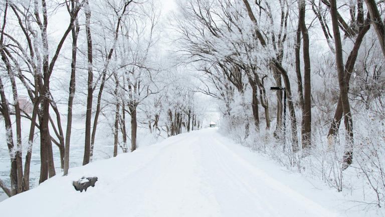 You Need To Stop Believing This Dangerous Survival Myth