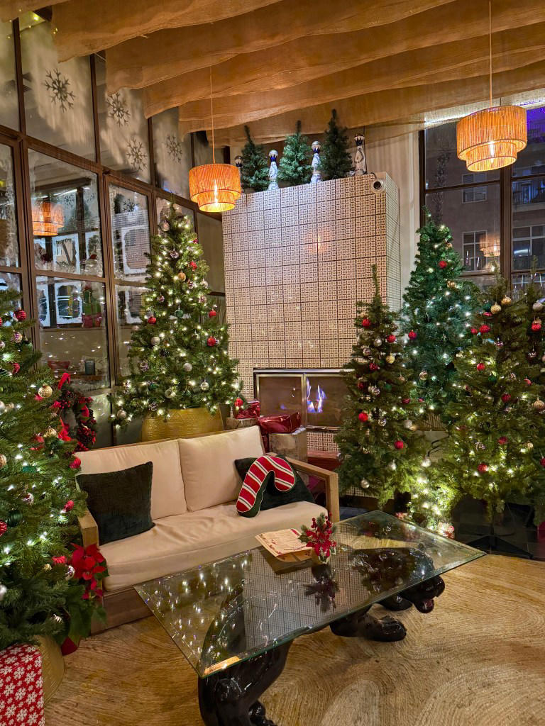 Little Italy’s Brisa hosting a pop-up experience through the holidays