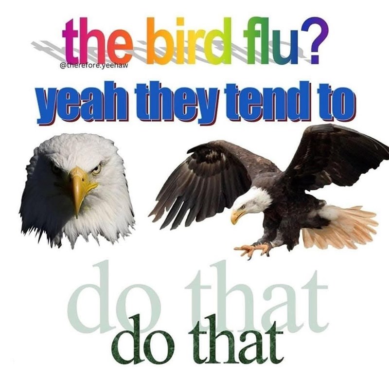 20 Bird Funnies to Fluff Up Your Funny Feathers for Winter