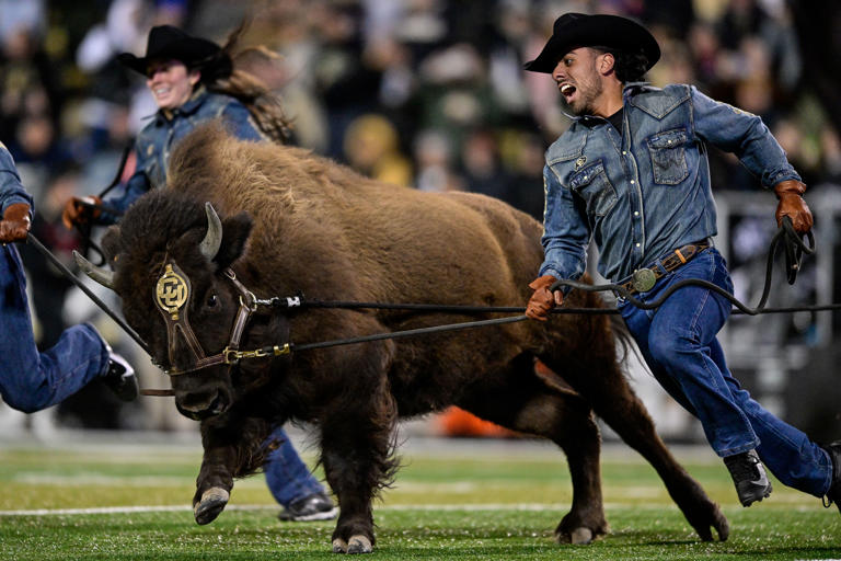 National Signing Day 2025: Mojo Williams is a Buff