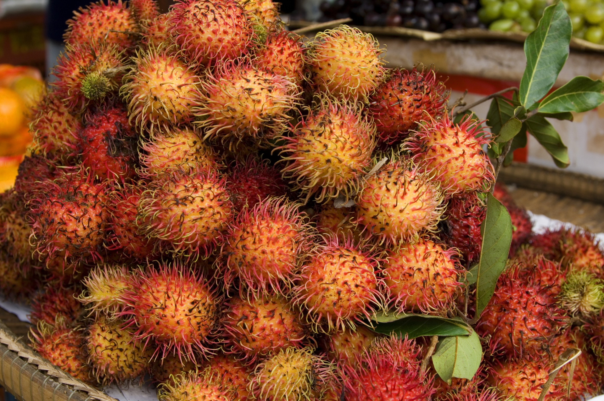 The oddest-looking fruits and vegetables