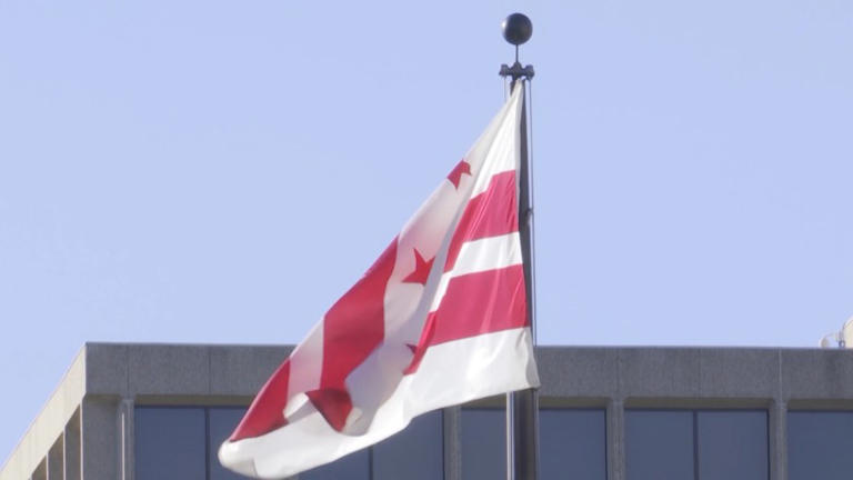 Rhonda Hamilton throws in bid for DC mayor