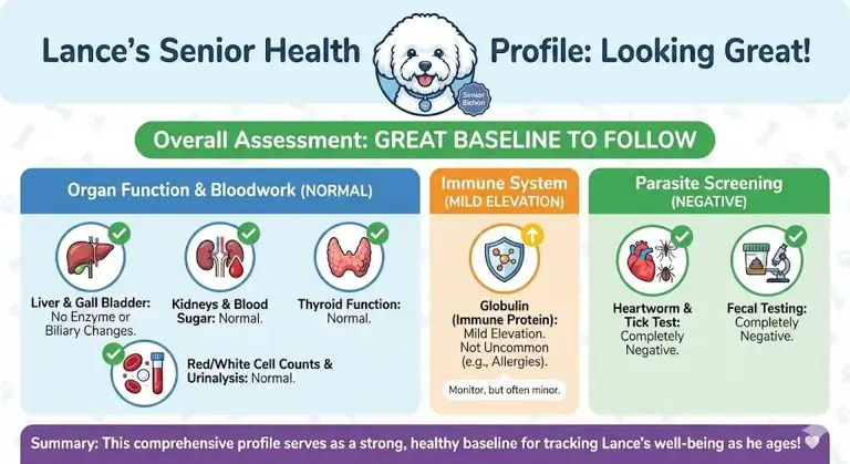 Google’s new Nano Banana Pro can turn literally anything into a ...