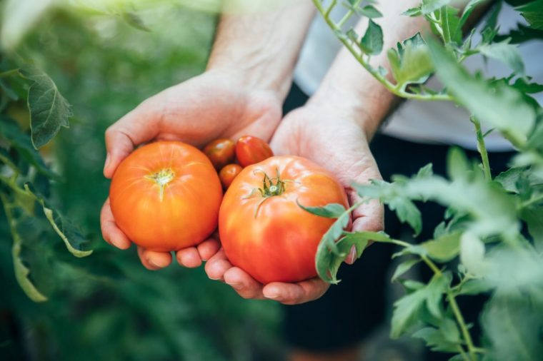 I’m a prostate cancer doctor – these easy daily habits help lower my risk