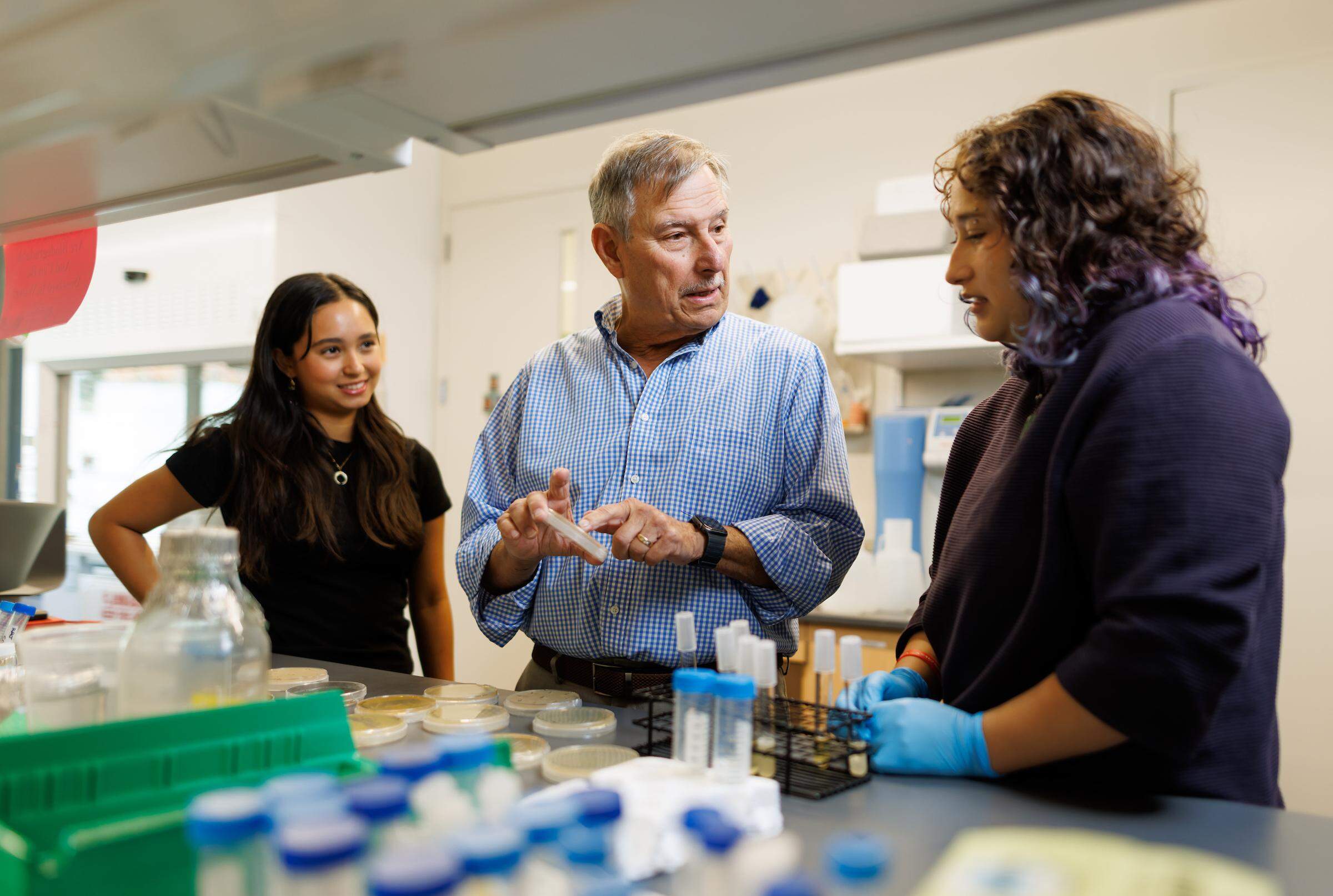 Cal Poly students study ancient bacteria stuck in amber. ‘Jurassic Park ...