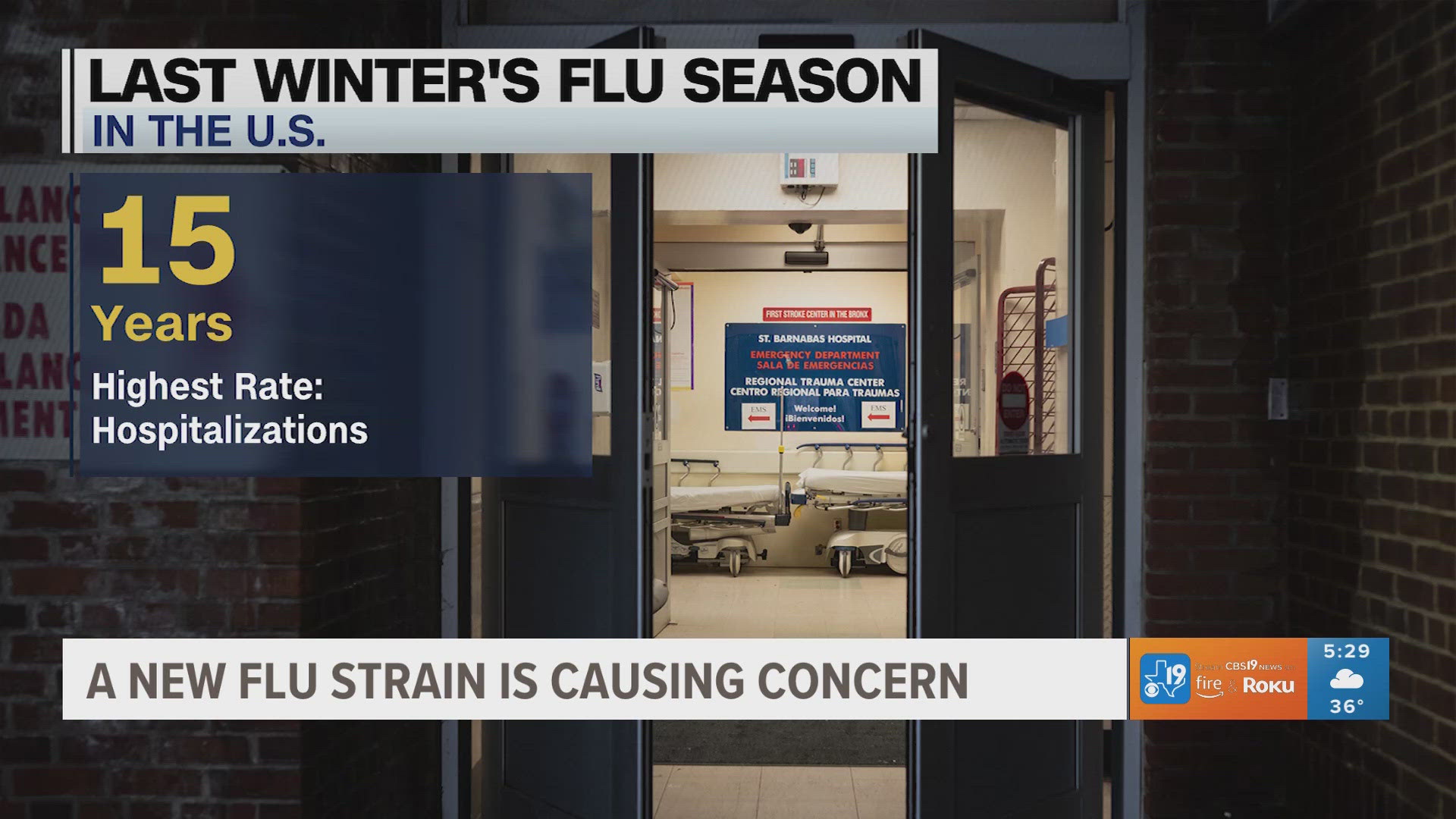New flu strain causes concern