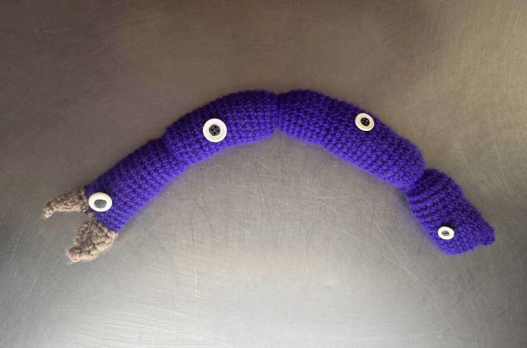 Adorable Amigurumi Terraria Eater of Worlds