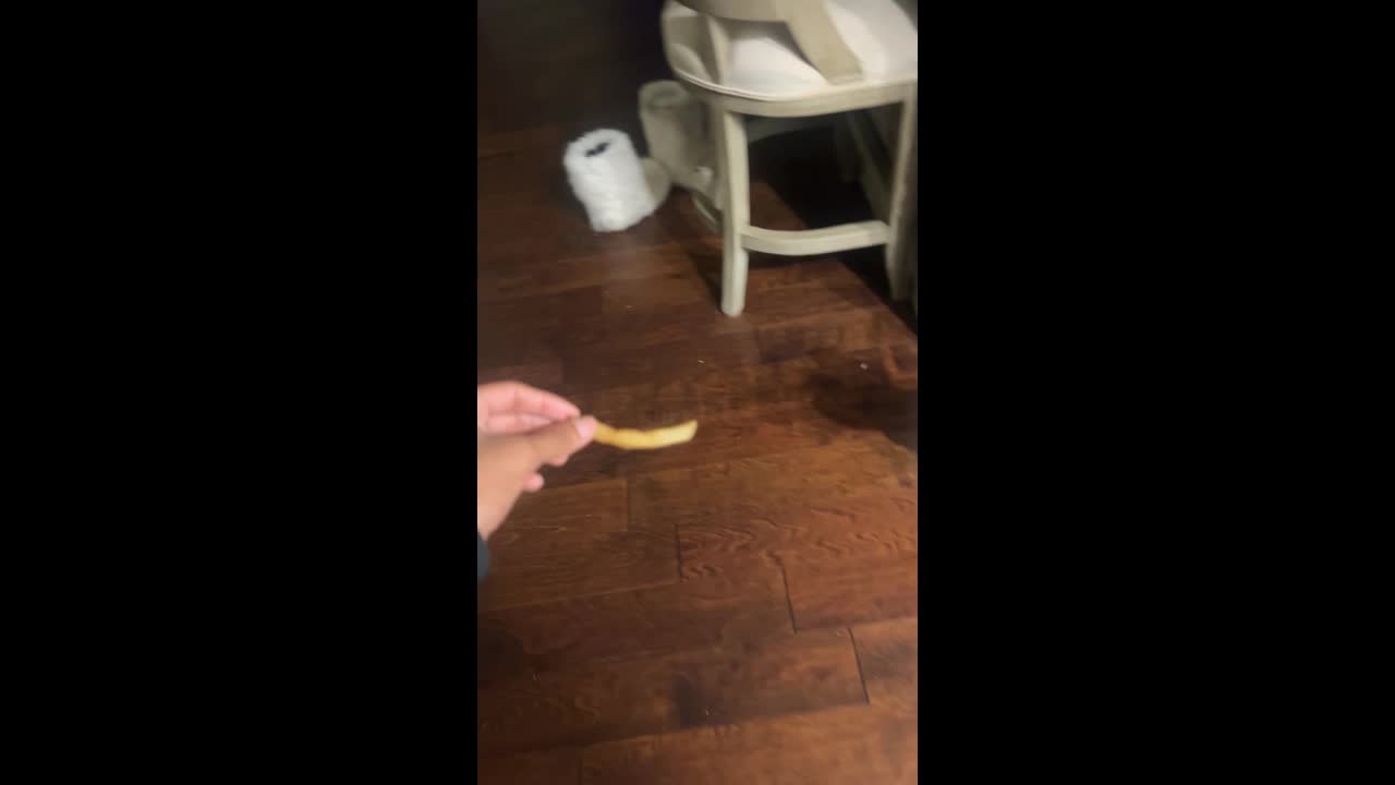 Toddler chases dog for a fry in Shreveport, USA