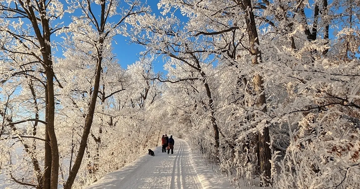 This Scenic Minnesota Trail Is Even Better in the Winter