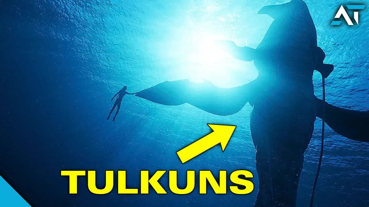 NEW SPECIES - TULKUN Confirmed! Avatar 2 and 4 CONNECTION