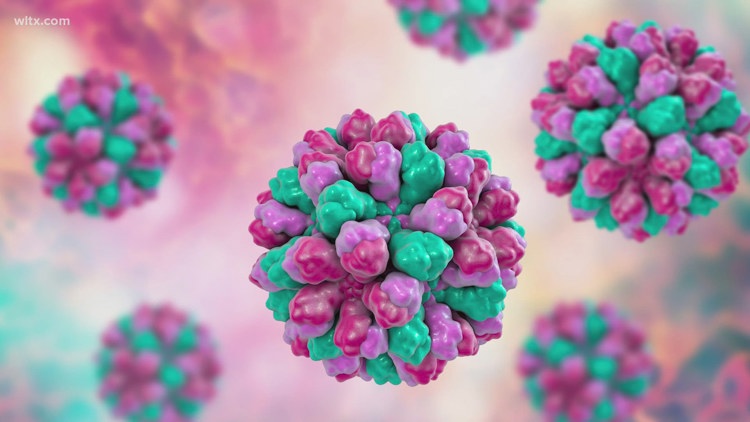 South Carolina sees rise in COVID-19 and flu as measles outbreak ...